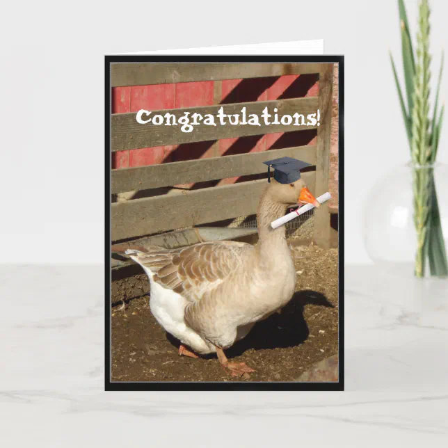 Graduation goose card | Zazzle