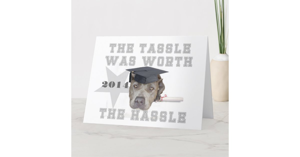 Graduation pitbull dog card | Zazzle