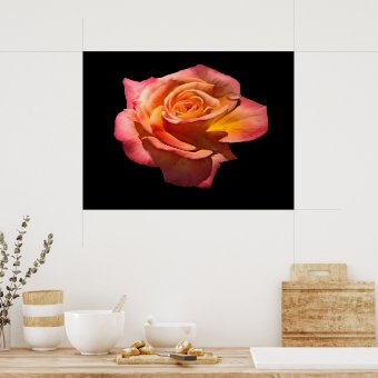 Granada Tea Rose Print | Zazzle
