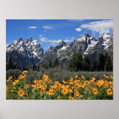 Grand Teton National Park Poster | Zazzle