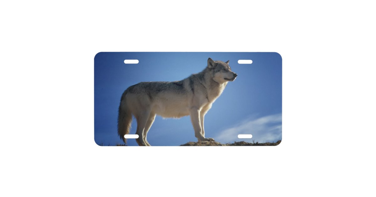 Grand Wolf License Plate | Zazzle