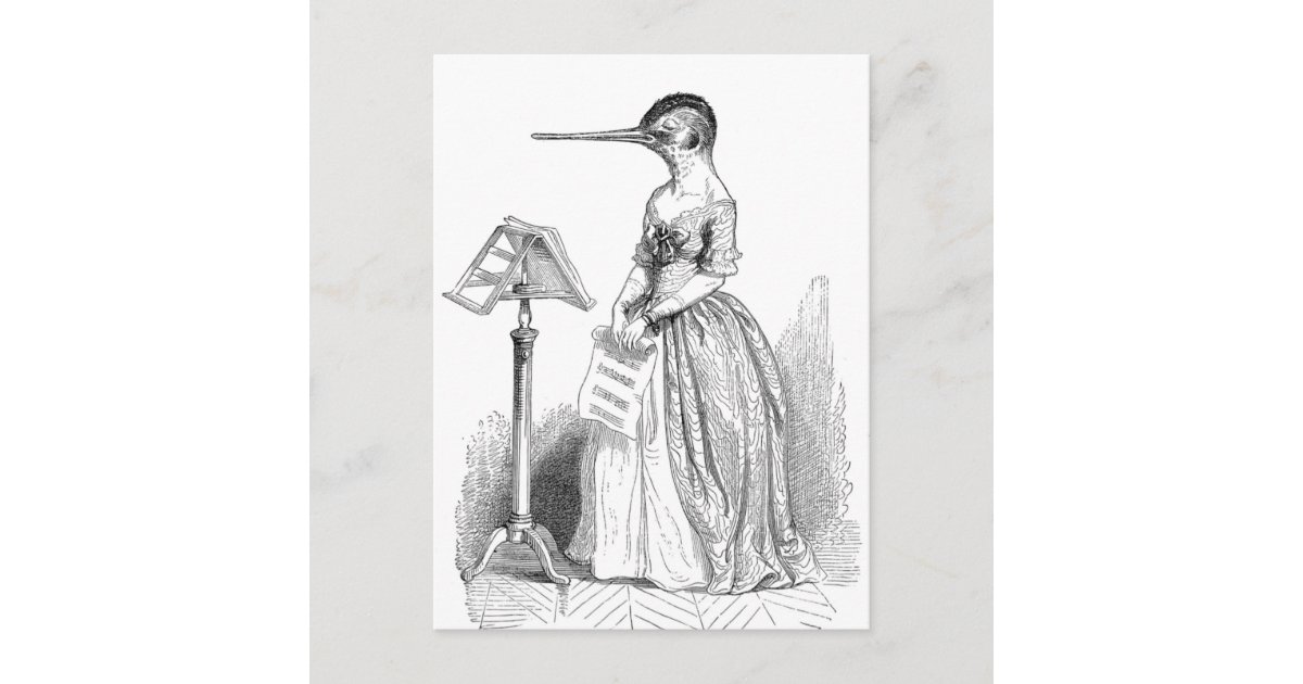 Grandville Anthropomorphic Bird Postcard | Zazzle