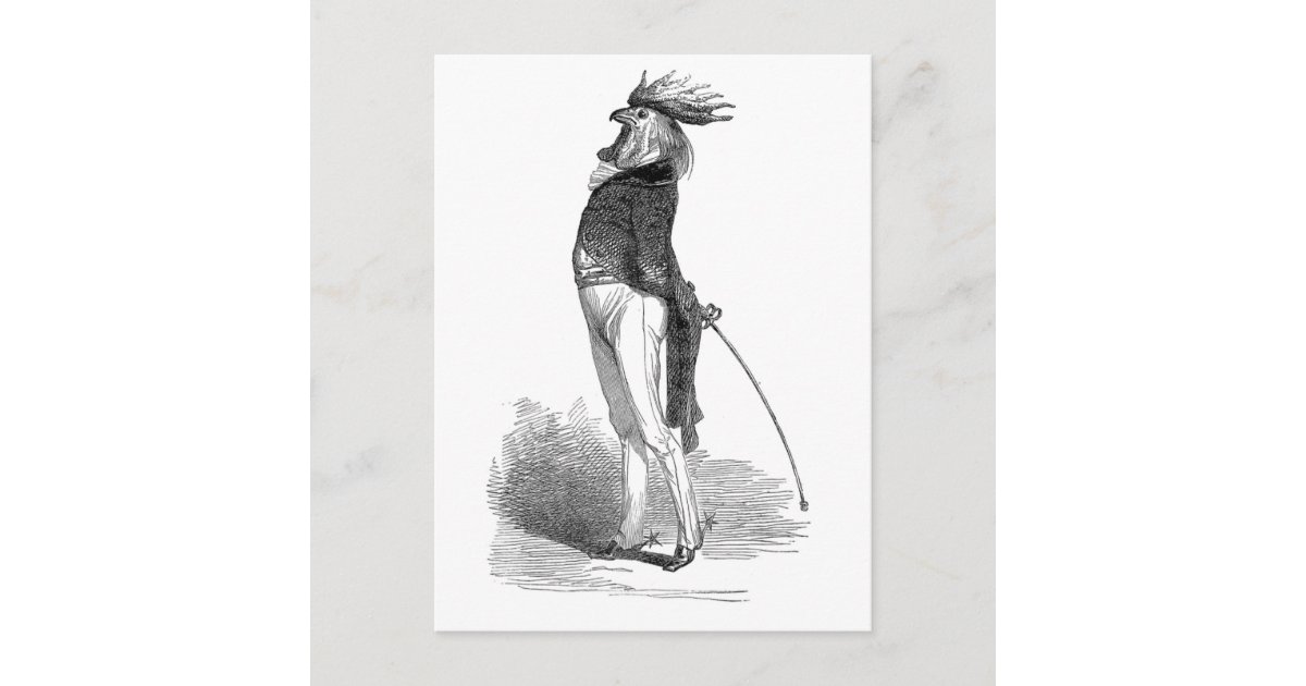 Grandville Anthropomorphic Rooster Postcard | Zazzle