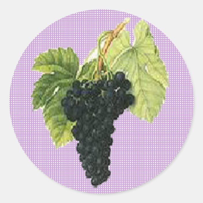 Grape stickers | Zazzle.com