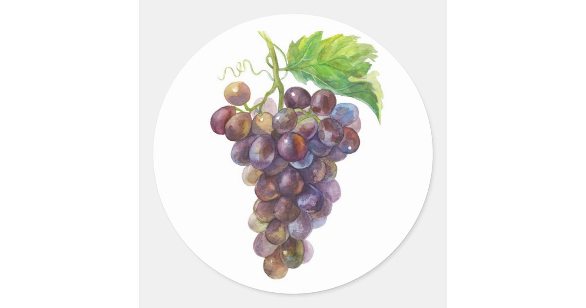 Grapes sticker | Zazzle