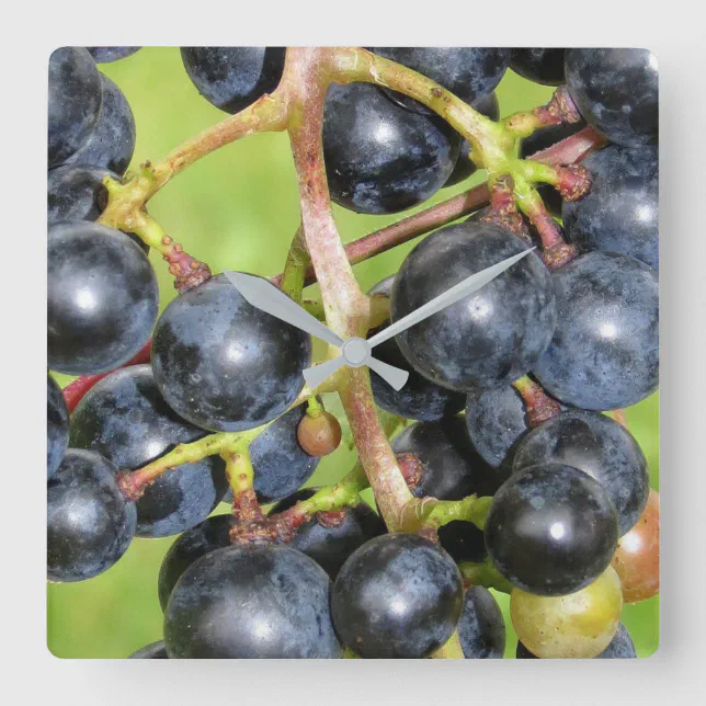 Grapes Wall Clock | Zazzle