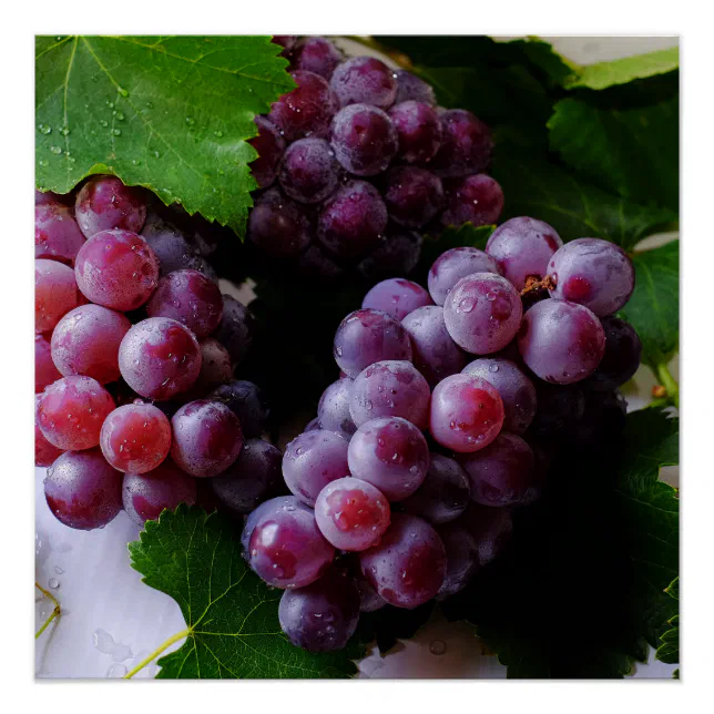 Grapevine Fruit Photography Poster | Zazzle