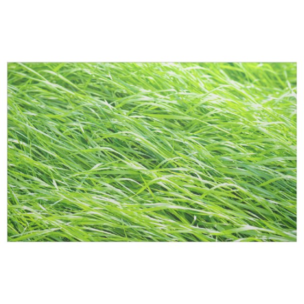 Green Grass Background Fabric | Zazzle.com
