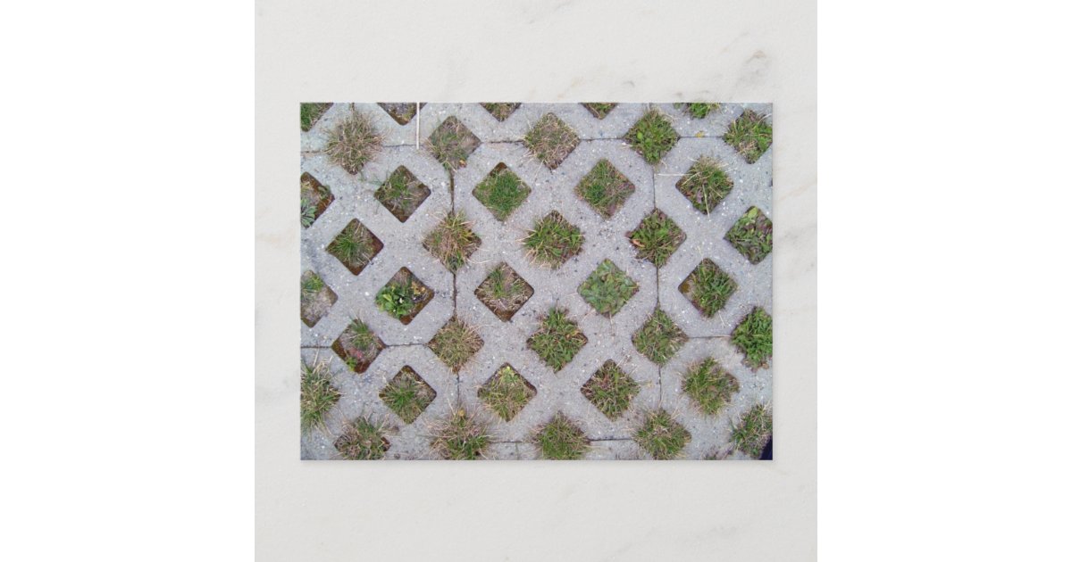 Grass Paver With Checkered Pattern Postcard | Zazzle