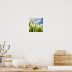 Grass Poster | Zazzle