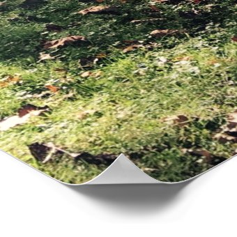 Graveyard Scene Poster | Zazzle