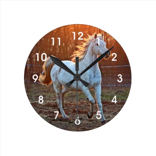 Gray Arabian Horse Round Clock | Zazzle.com
