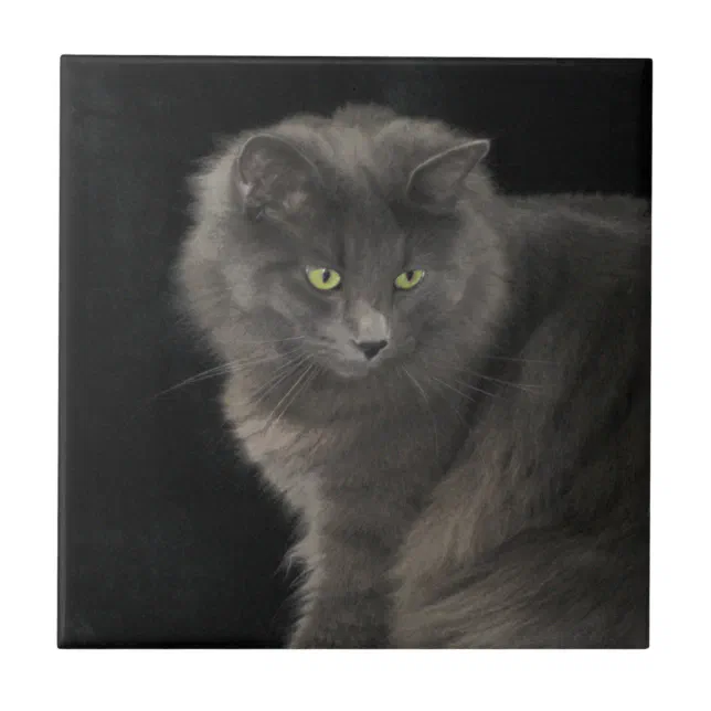 Gray Cat Long Hair Russian Blue Kitty Kitten Cute Ceramic Tile | Zazzle