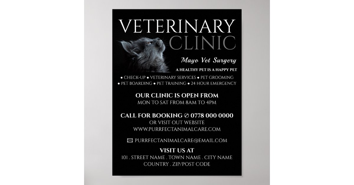 Gray Cat, Veterinarian, Veterinary Service Advert Poster | Zazzle