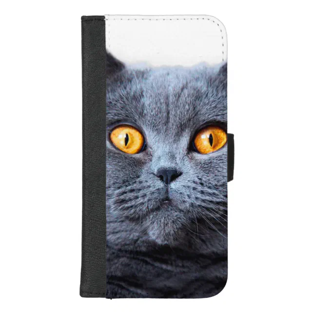 Gray cat yellow eyes iPhone wallet case | Zazzle