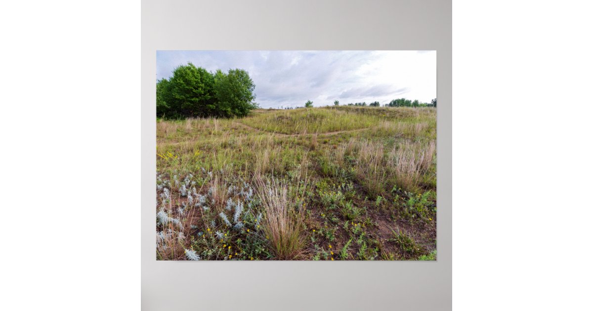 gray cloud dunes prairie landscape poster | Zazzle