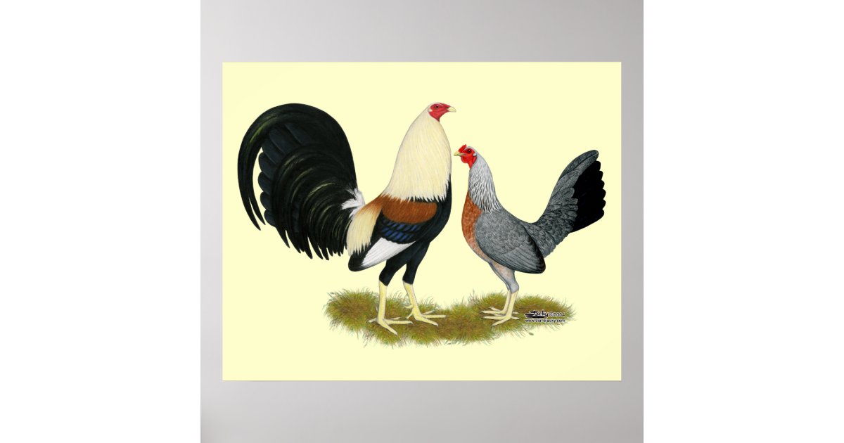 Gray Game Fowl Pair Poster | Zazzle