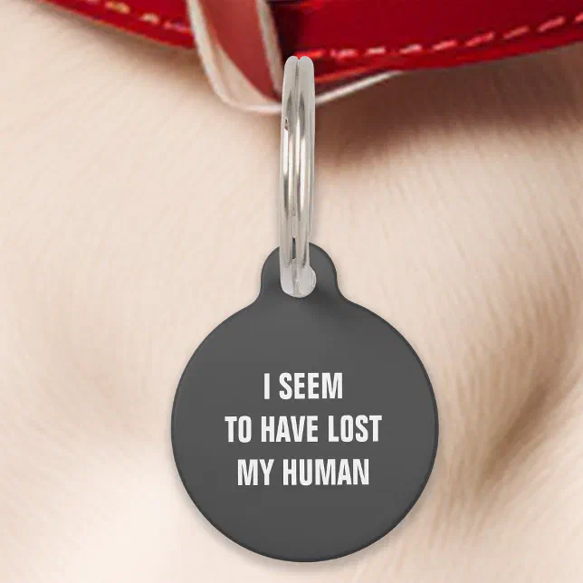 Gray I Seem to Have Lost My Human Funny Pet ID Tag | Zazzle
