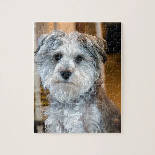 Gray Miniature Schnauzer Jigsaw Puzzle | Zazzle