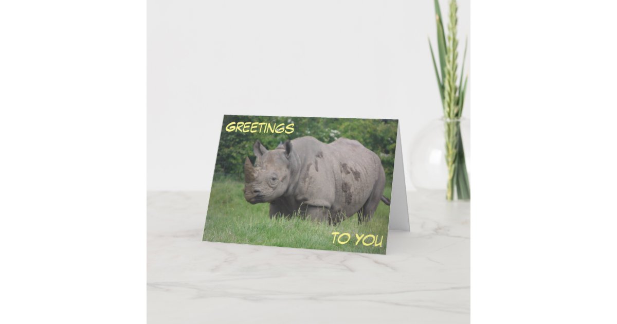 Gray Rhino Greeting Card | Zazzle