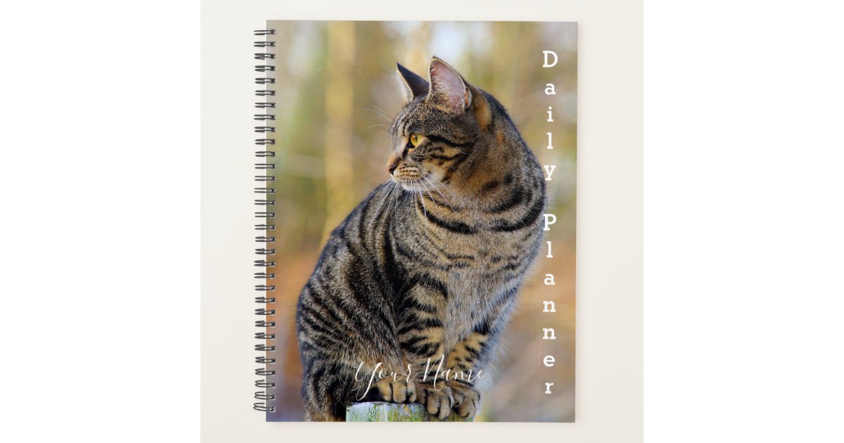 Gray Tabby Cat - Daily Planner- HAMbWG Planner | Zazzle