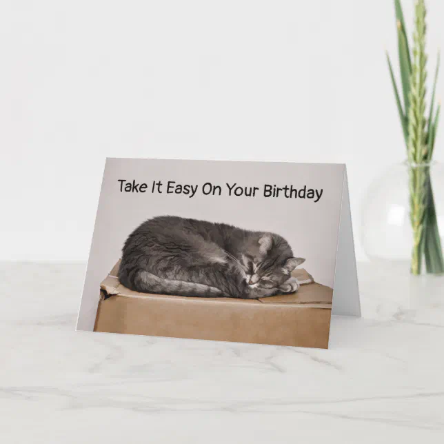 Gray Tabby Cat Sleeping On Box Blank Card | Zazzle
