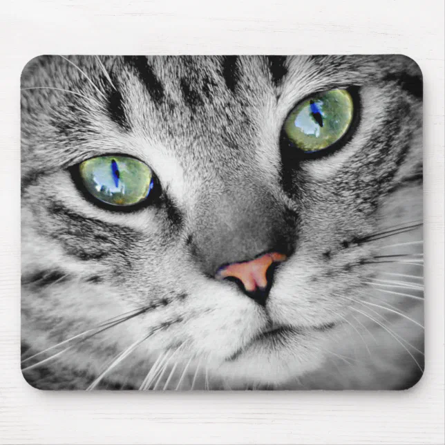 Gray Tabby Green Eyed Close Up Mouse Pad | Zazzle