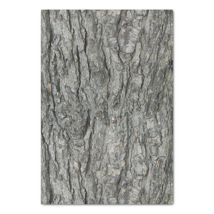 Gray Tones Rustic Wood Bark Print Tissue Paper | Zazzle
