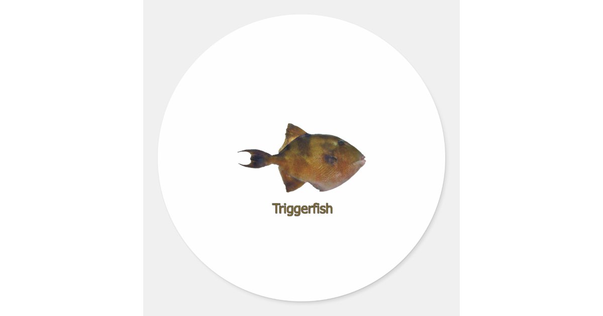 Gray Triggerfish Logo Classic Round Sticker | Zazzle