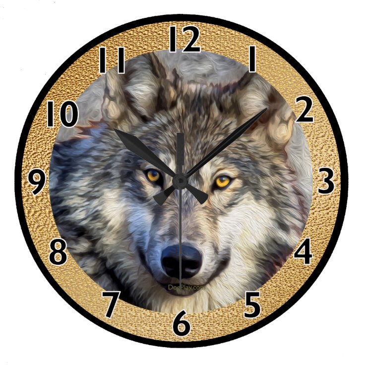 Gray Wolf Dignity Large Clock | Zazzle