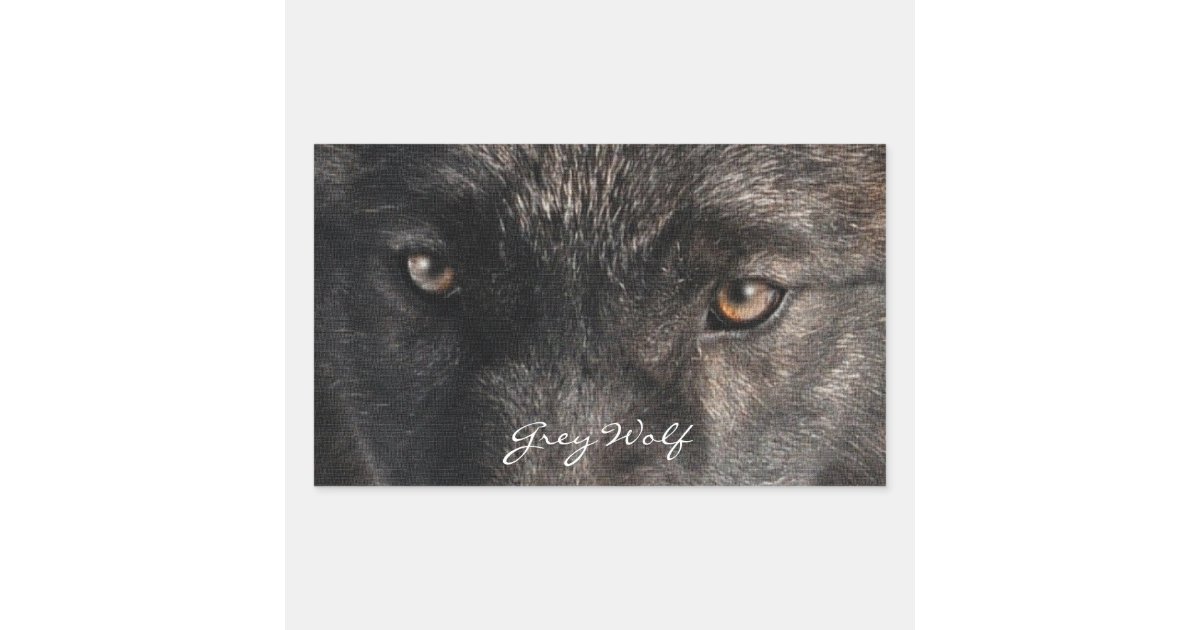 GRAY WOLF EYES Wildlife Supporter Stickers | Zazzle