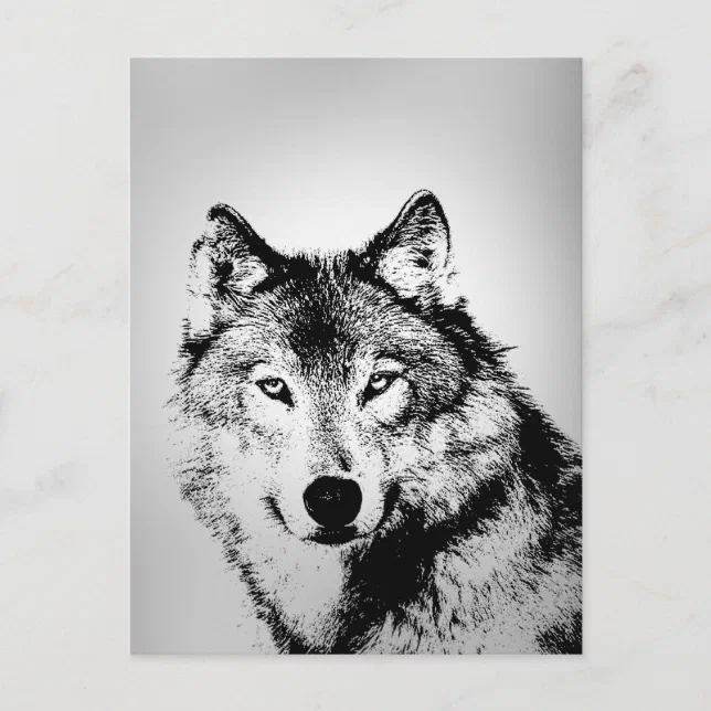 Gray Wolf Postcard | Zazzle