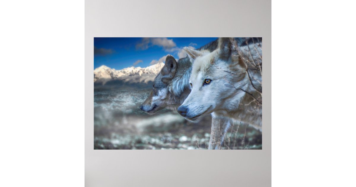 Gray Wolf SENTINEL WOLVES Poster | Zazzle