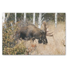 Moose Silhouettes Pattern Tissue Paper | Zazzle.com