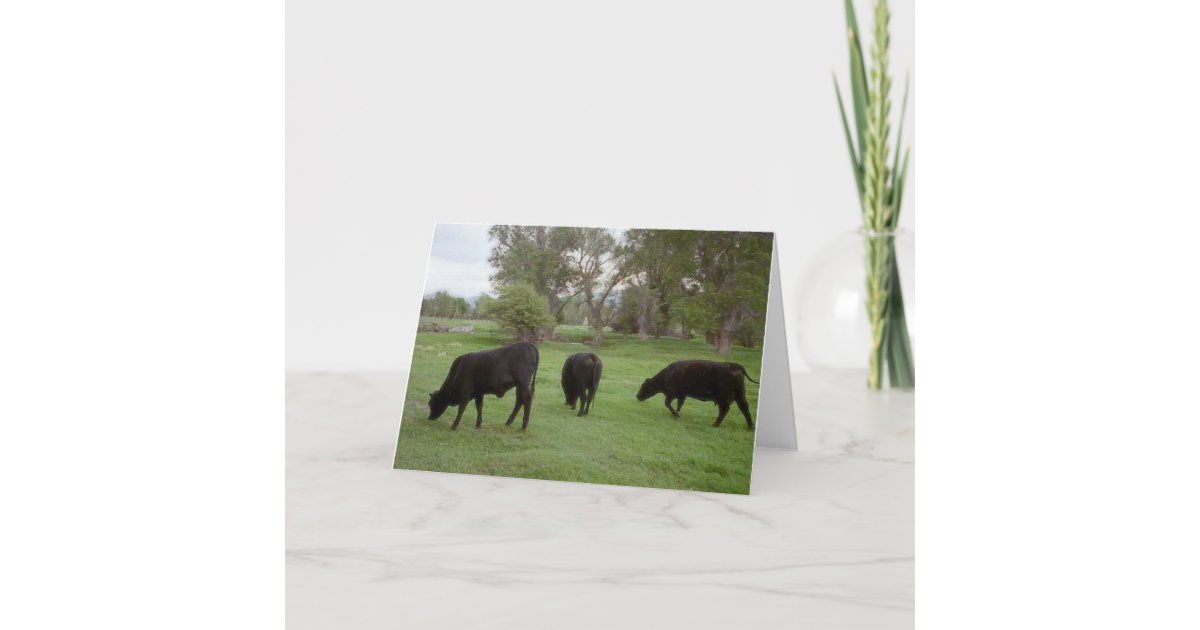 Grazing Cattle v1 Thank You Card | Zazzle