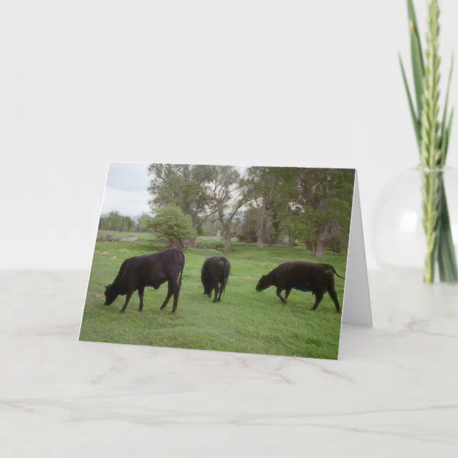 Grazing Cattle v1 Thank You Card | Zazzle