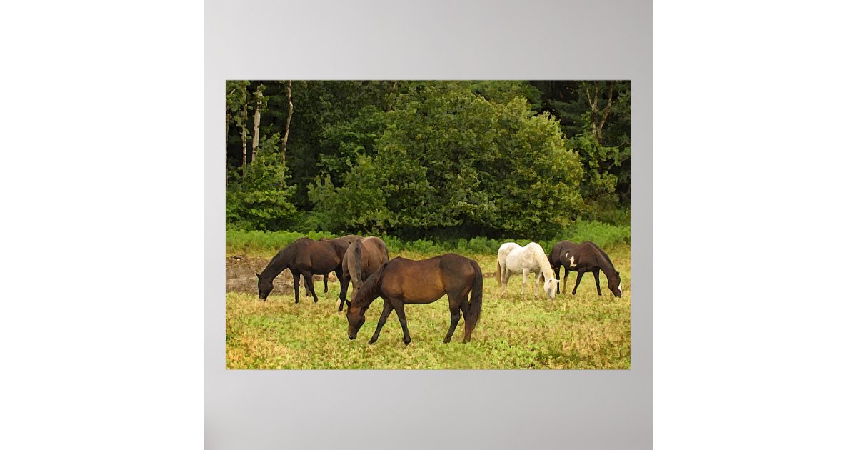 Grazing Horses Poster | Zazzle