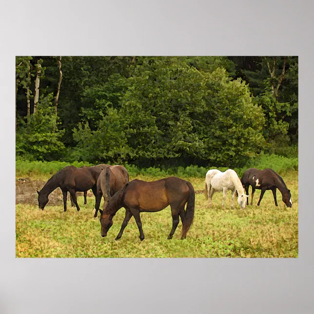 Grazing Horses Poster | Zazzle