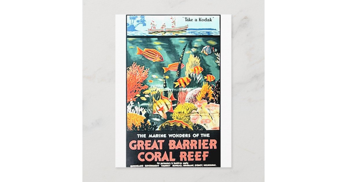 Great barrier coral reef postcard | Zazzle