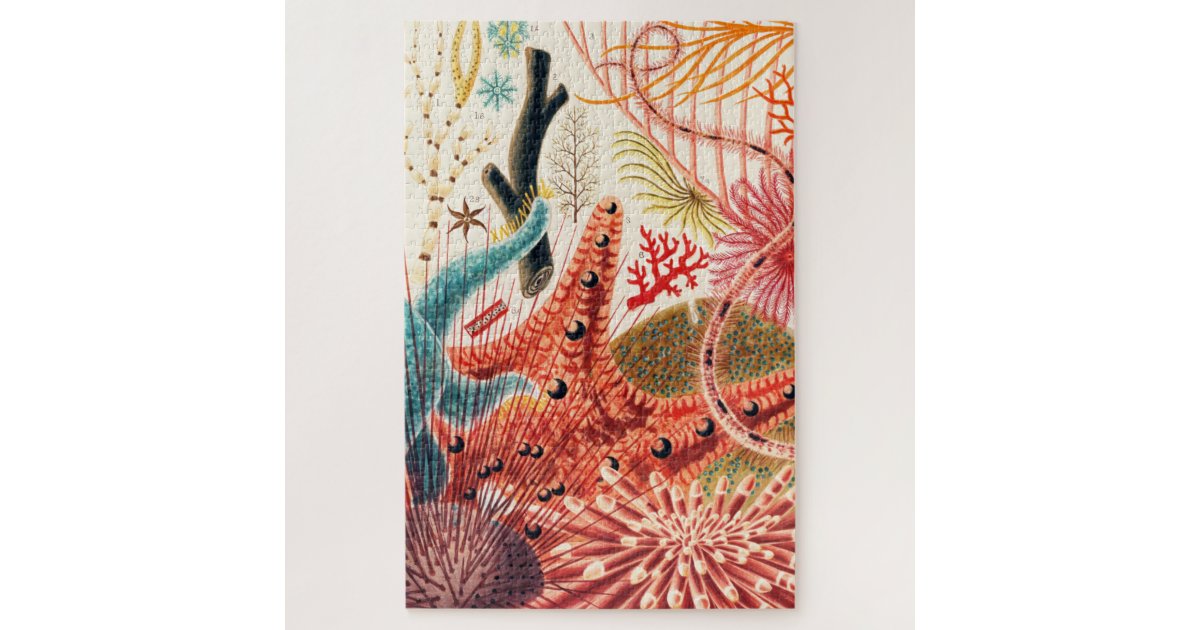 Great Barrier Reef Echinoderms Sea Creatures Jigsaw Puzzle | Zazzle