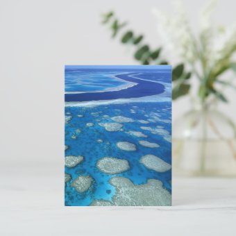 Great Barrier Reef Marine Park Queensland AU Postcard | Zazzle