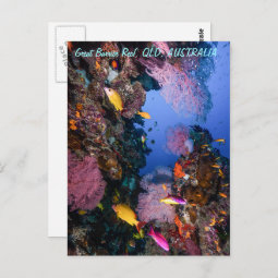 Great Barrier Reef Postcard | Zazzle
