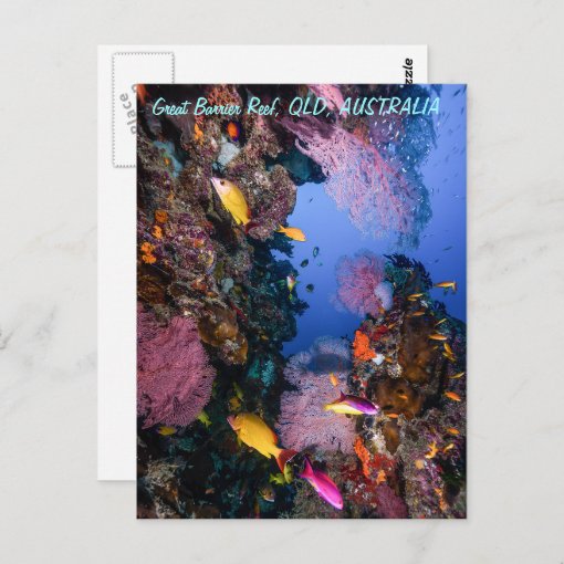 Great Barrier Reef Postcard | Zazzle