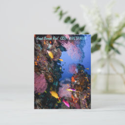 Great Barrier Reef Postcard | Zazzle