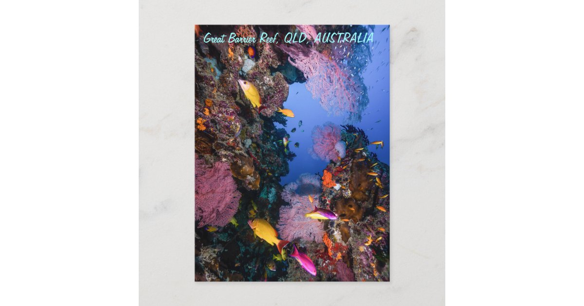 Great Barrier Reef Postcard | Zazzle