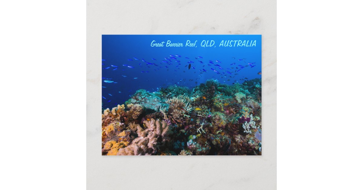 Great Barrier Reef Postcard | Zazzle