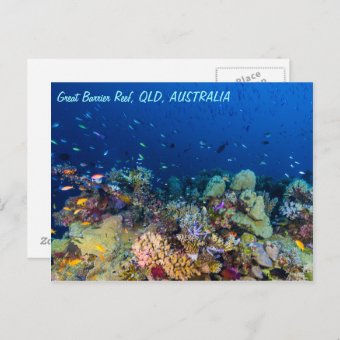 Great Barrier Reef Postcard | Zazzle