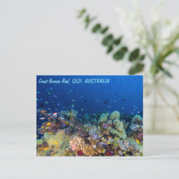 Great Barrier Reef Postcard | Zazzle