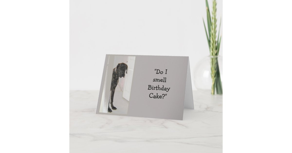 Great Dane Dog Humor SON Birthday Cake Fun Card | Zazzle