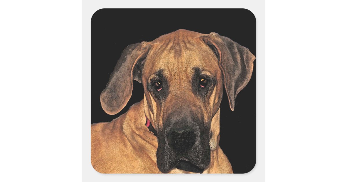Great Dane Dog Stickers | Zazzle